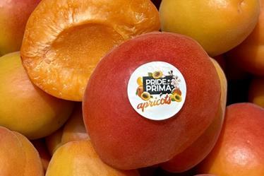 Produce Plus | Fruitnet