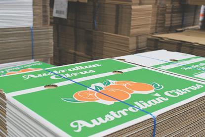 Citrus industry news and analysis | Fruitnet.com