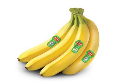 Banana industry news and analysis | Fruitnet.com