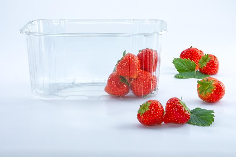 News and analysis from the UK fresh produce market | Fruitnet.com