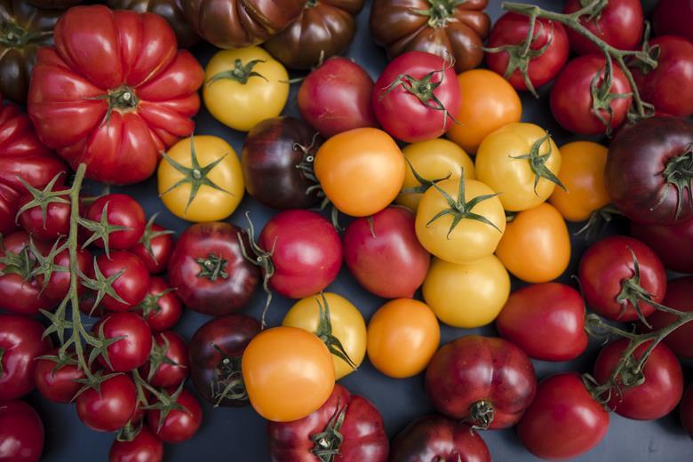 The Flavour Farm to acquire tomato specialist RedStar, strengthening ...