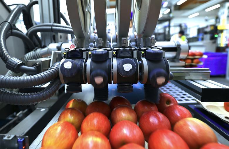 Small label, big shift, urges Sinclair | News | Fruitnet